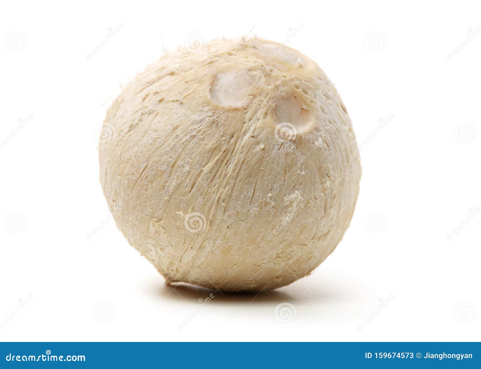 Coconut on White Background Stock Image - Image of details, white ...