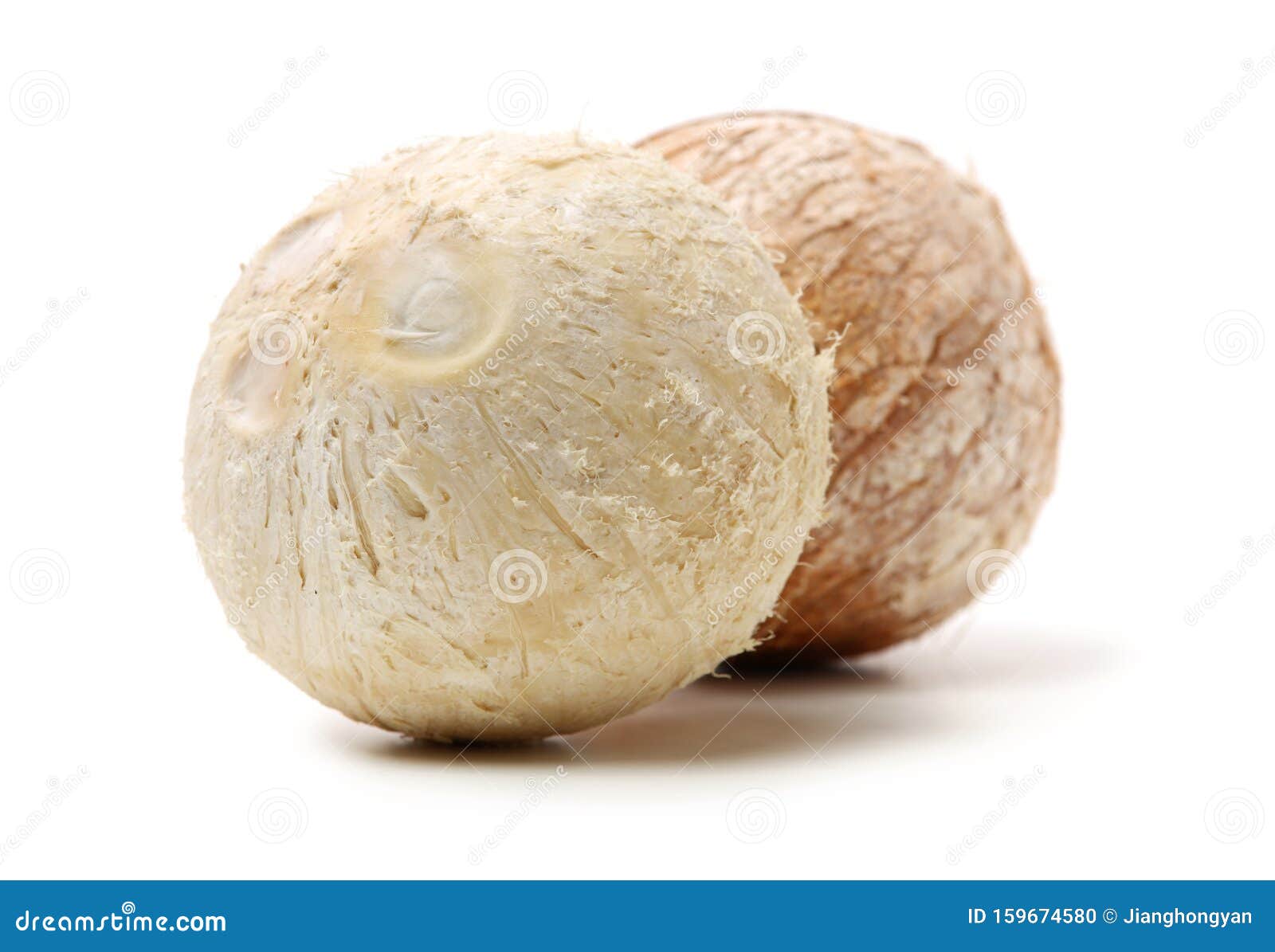 Coconut on White Background Stock Photo - Image of broke, climate ...