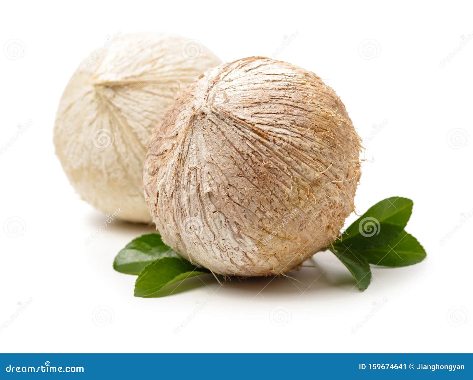 Coconut on White Background Stock Image - Image of broke, coco: 159674641