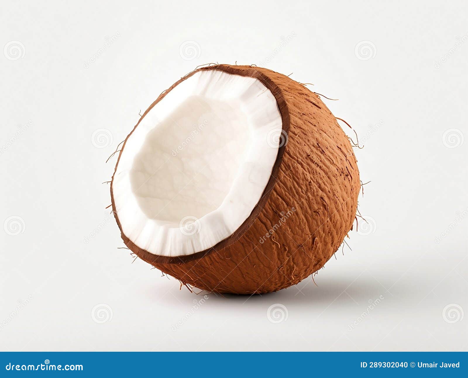 Coconut on a White Background with Copy Space Stock Illustration ...