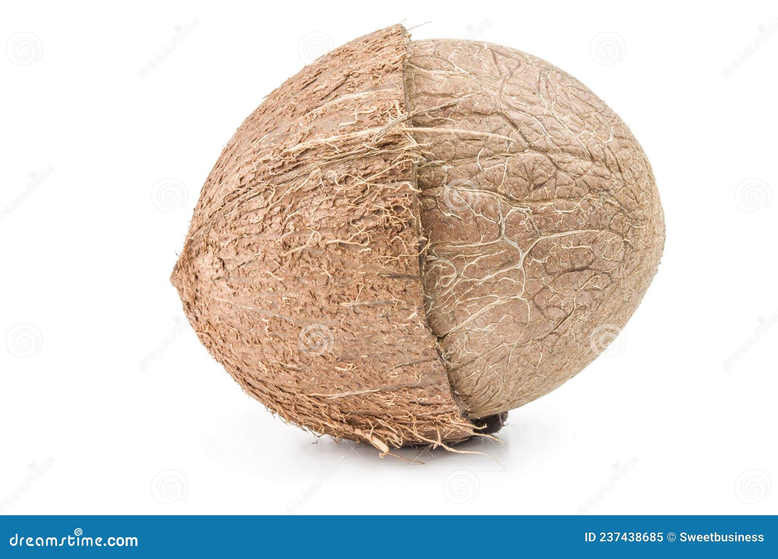 Coconut on a White Background Cutout Stock Image - Image of cocoanut ...