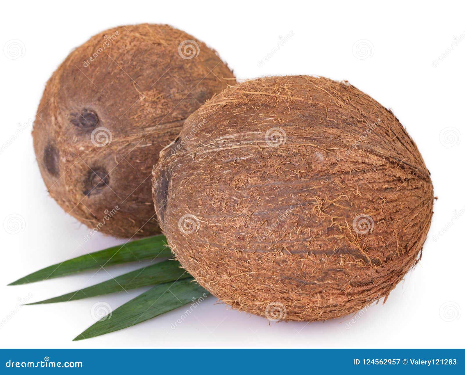 Coconut on White Background Stock Image - Image of healthy, fruit ...