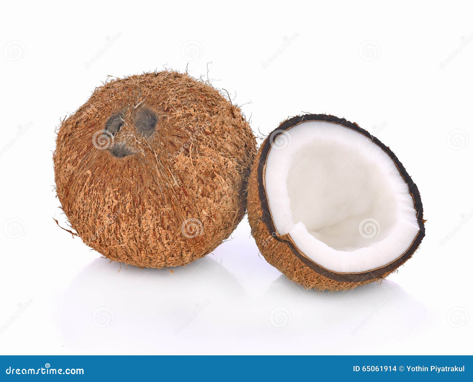Coconut stock photo. Image of break, white, round, coco - 65061914