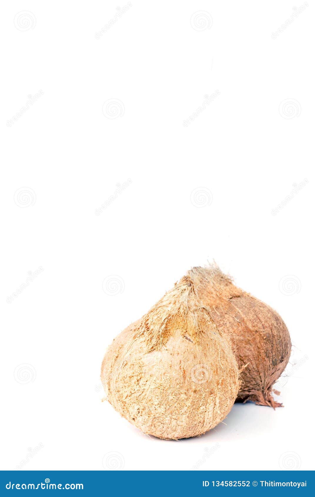Coconut White Background. stock photo. Image of milk - 134582552