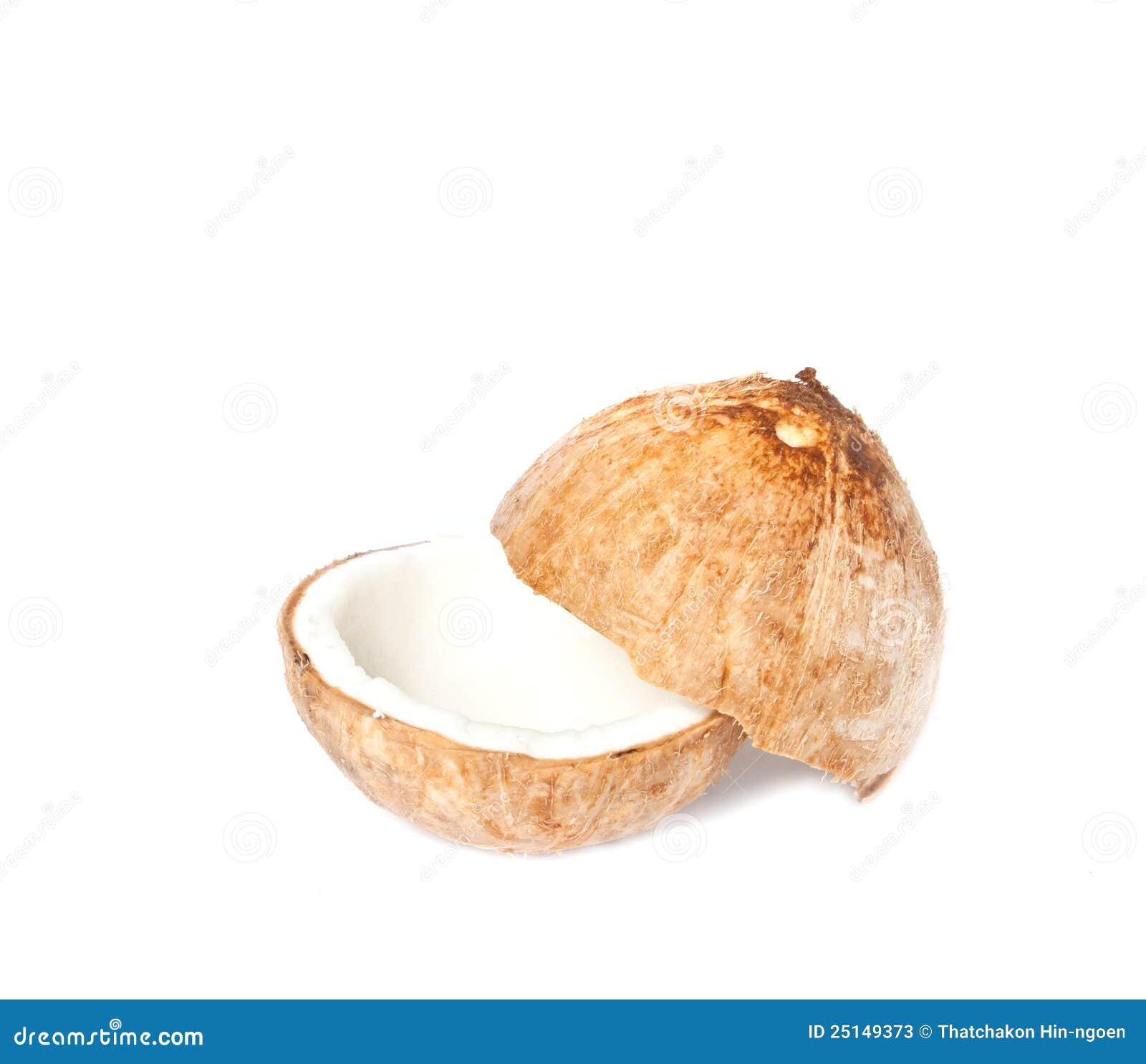 Coconut on white isolated stock image. Image of closeup - 25149373