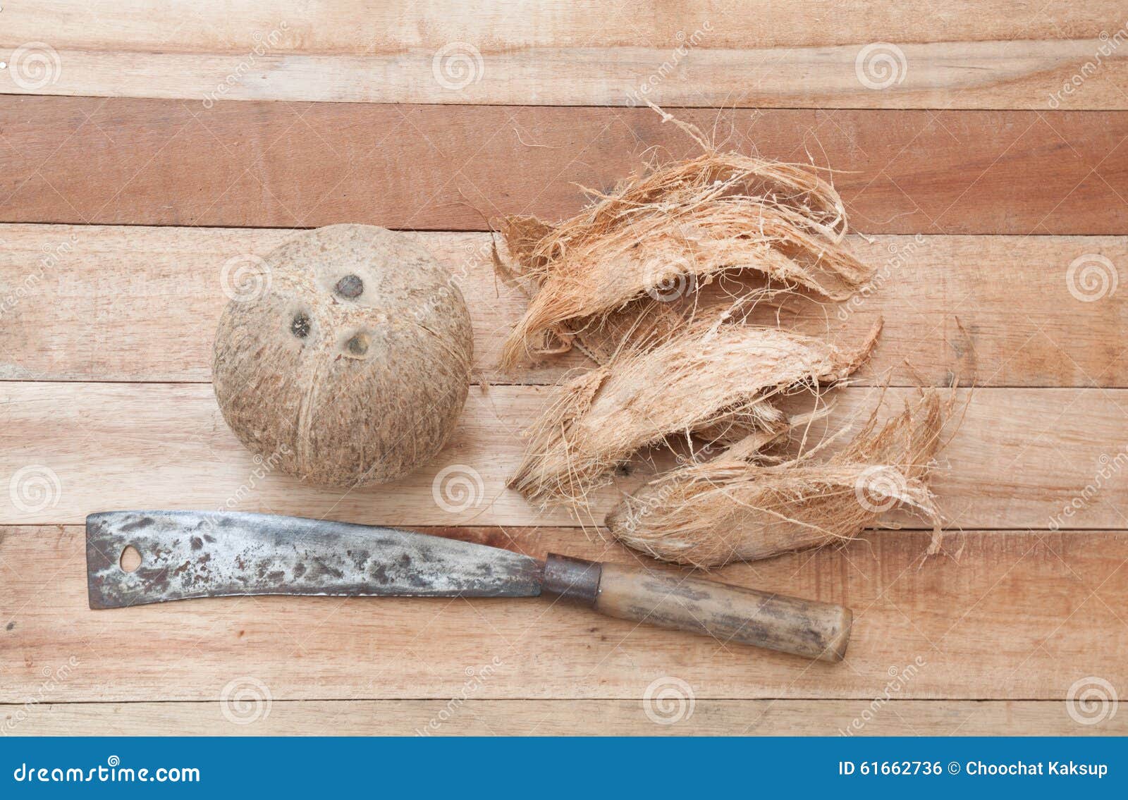 Coconut on wood stock photo. Image of palm, nature, life - 61662736