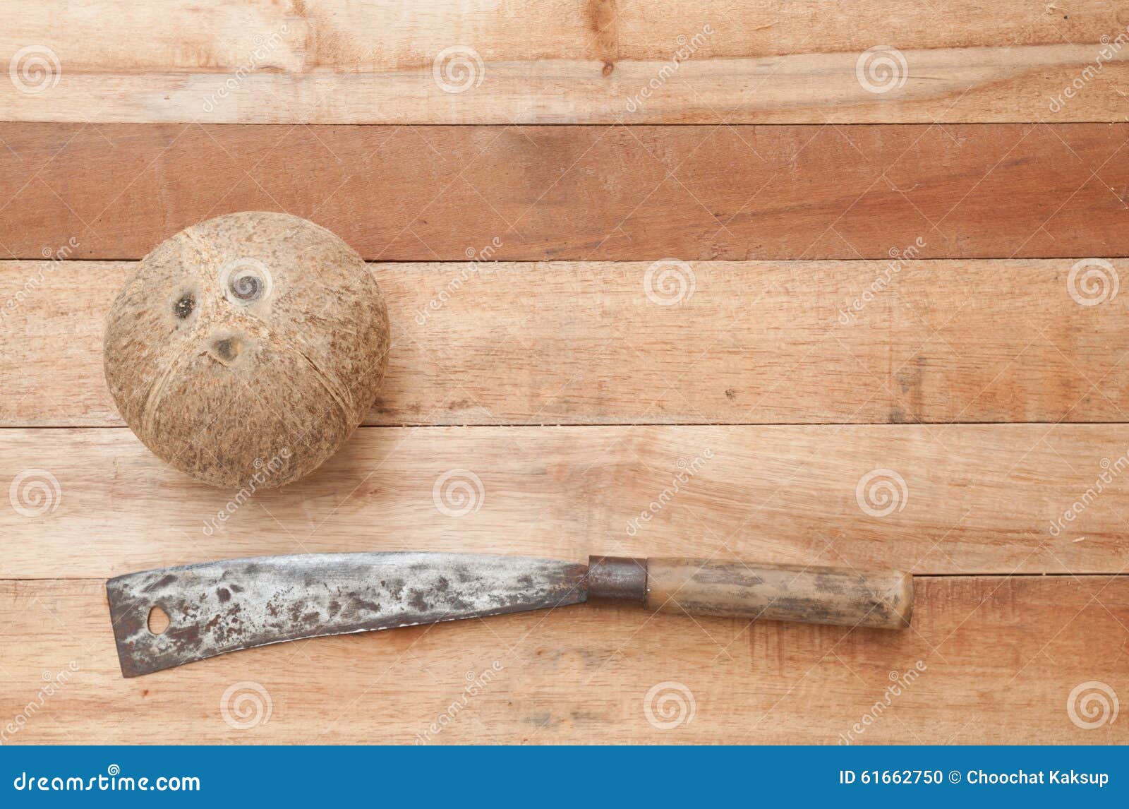 Coconut on wood stock photo. Image of hairy, health, nutrition - 61662750
