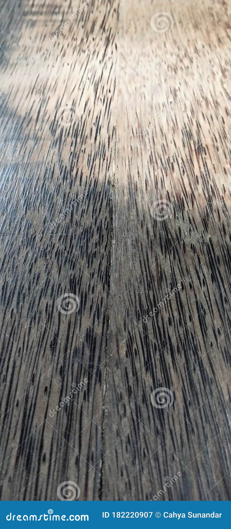 Coconut wood texture stock image. Image of soil, trunk - 182220907