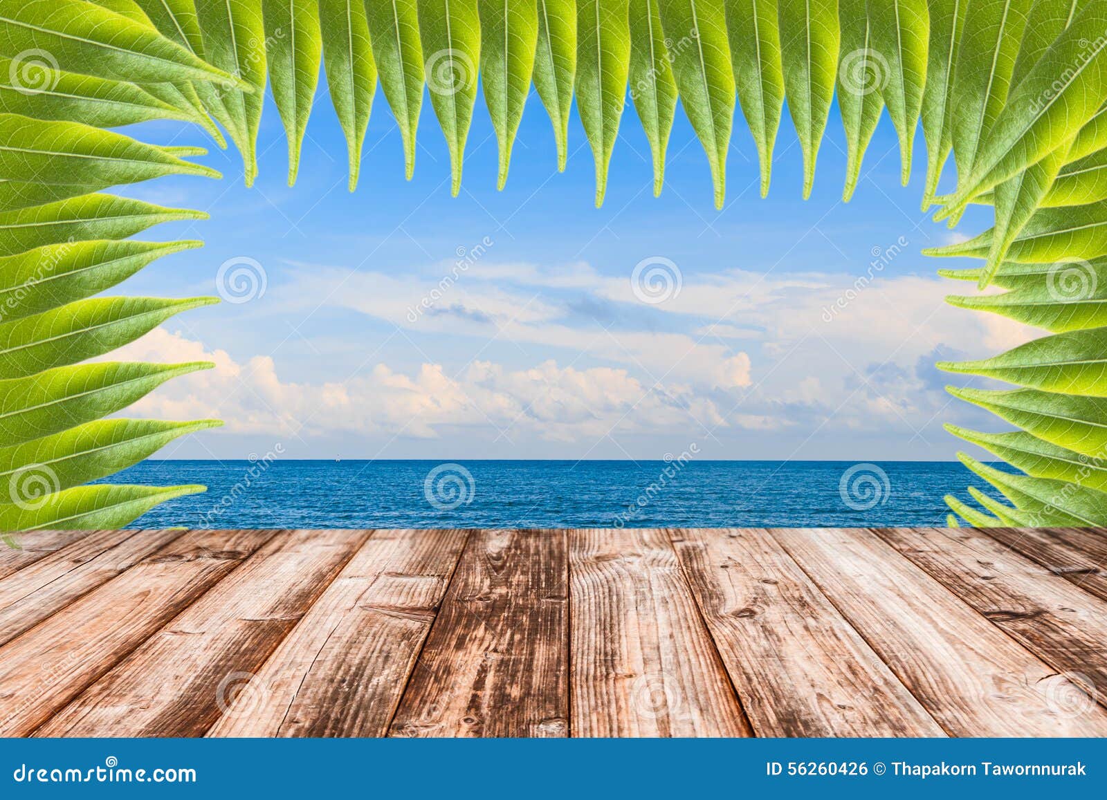 Coconut Wooden with Leaf Table Stock Photo - Image of blue, beautiful ...