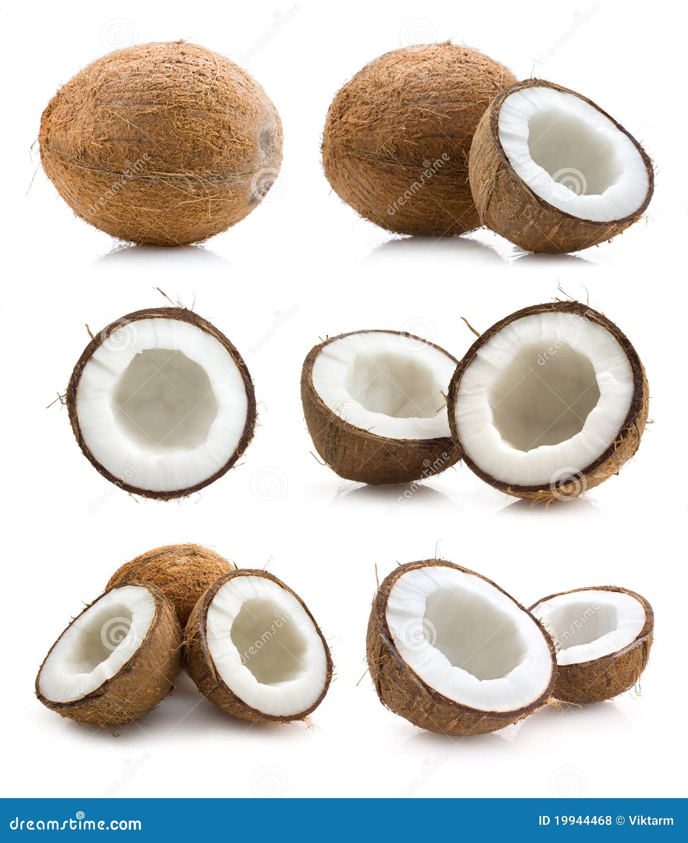 Coconuts stock photo. Image of diet, round, hard, nutrition - 19944468