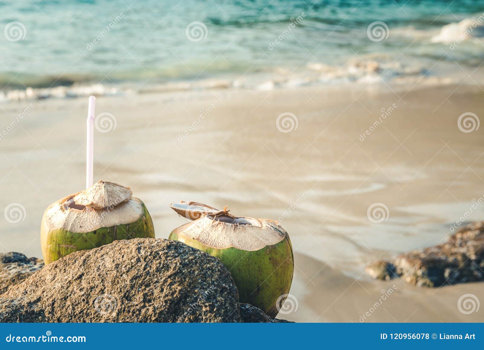 Coconuts on the Background of the Beach Stock Photo - Image of exotic ... Coconuts on the Background of the Beach Stock Photo - Image of exotic ...