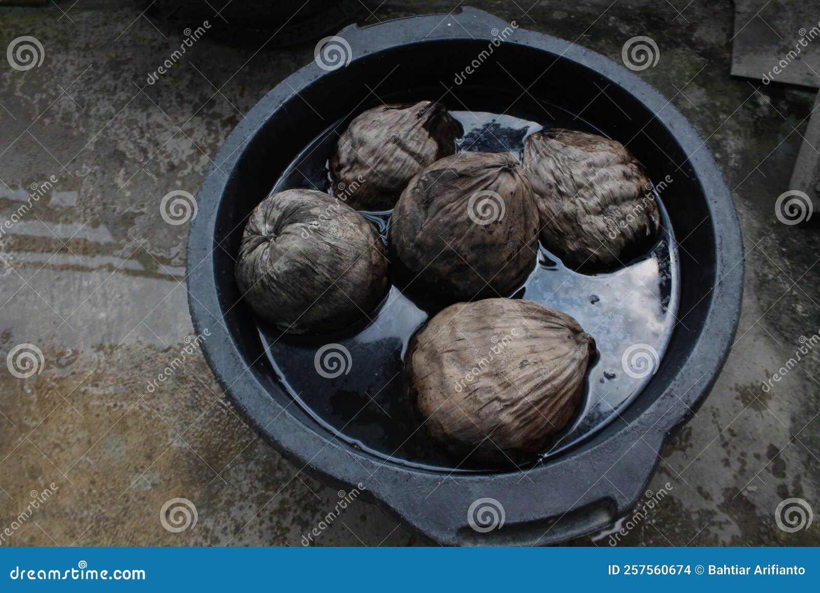 5 coconuts stock photo. Image of soil, cuisine, food - 257560674