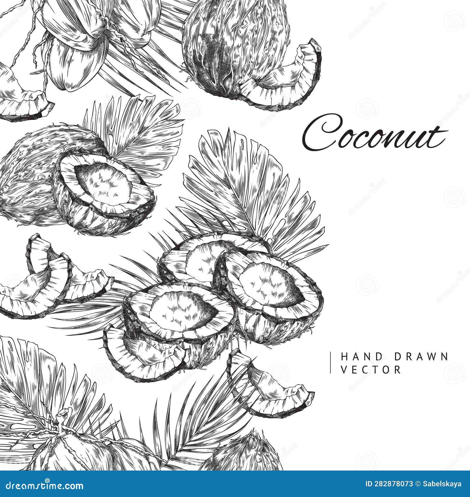 Coconuts Border Seamless Vertical Design, Engraving Vector Illustration ...