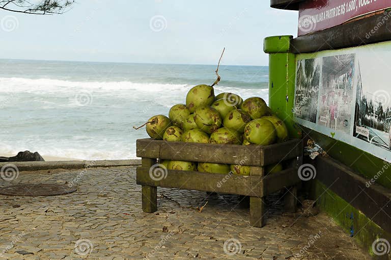 Coconuts in Brazil stock photo. Image of brazil, janero - 14629958