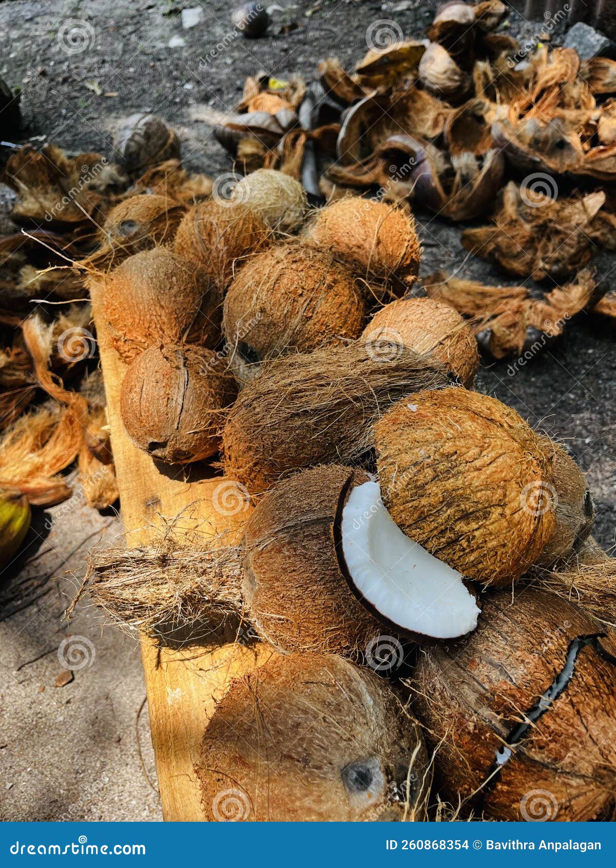 Coconuts stock photo. Image of nature, breakfast, mushroom - 260868354