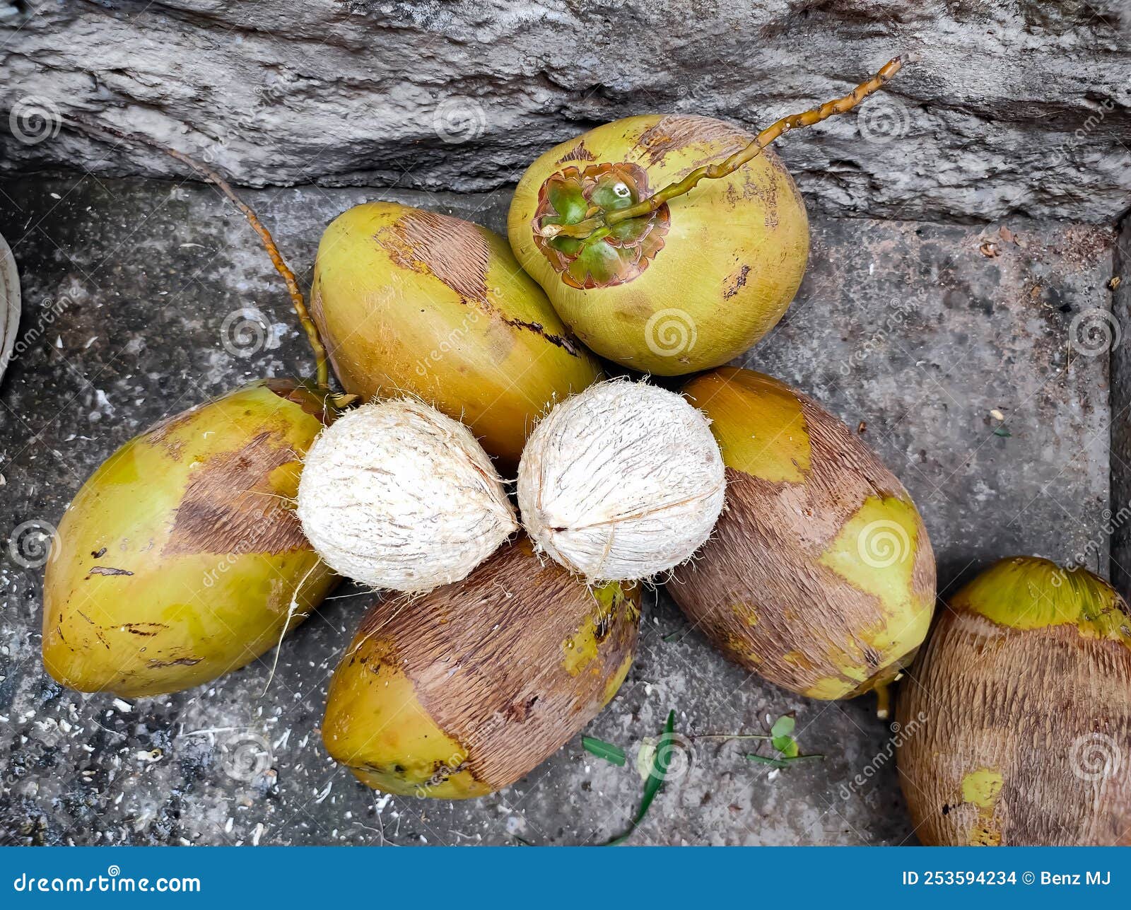 Coconuts on the Floor after Plucking from the Tree Stock Photo - Image ...