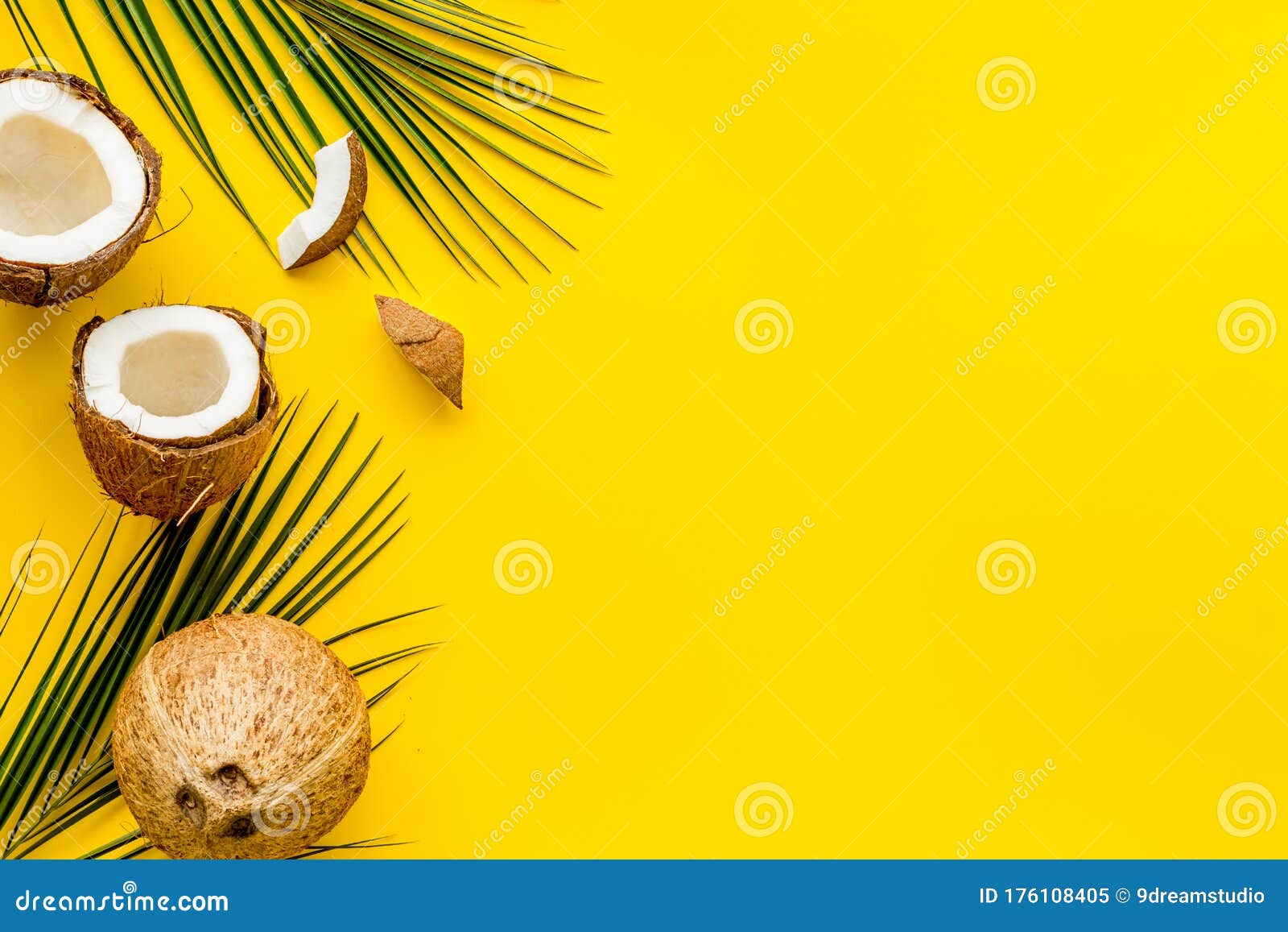 Coconuts Frame. Nuts Pieces and Exotic Leaves on Yellow Background Top ...
