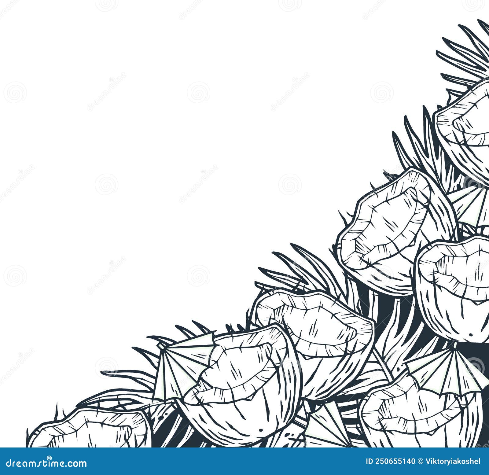 Coconuts Fruit Corner. Summer Fruit Outline Design Vector Illustration ...