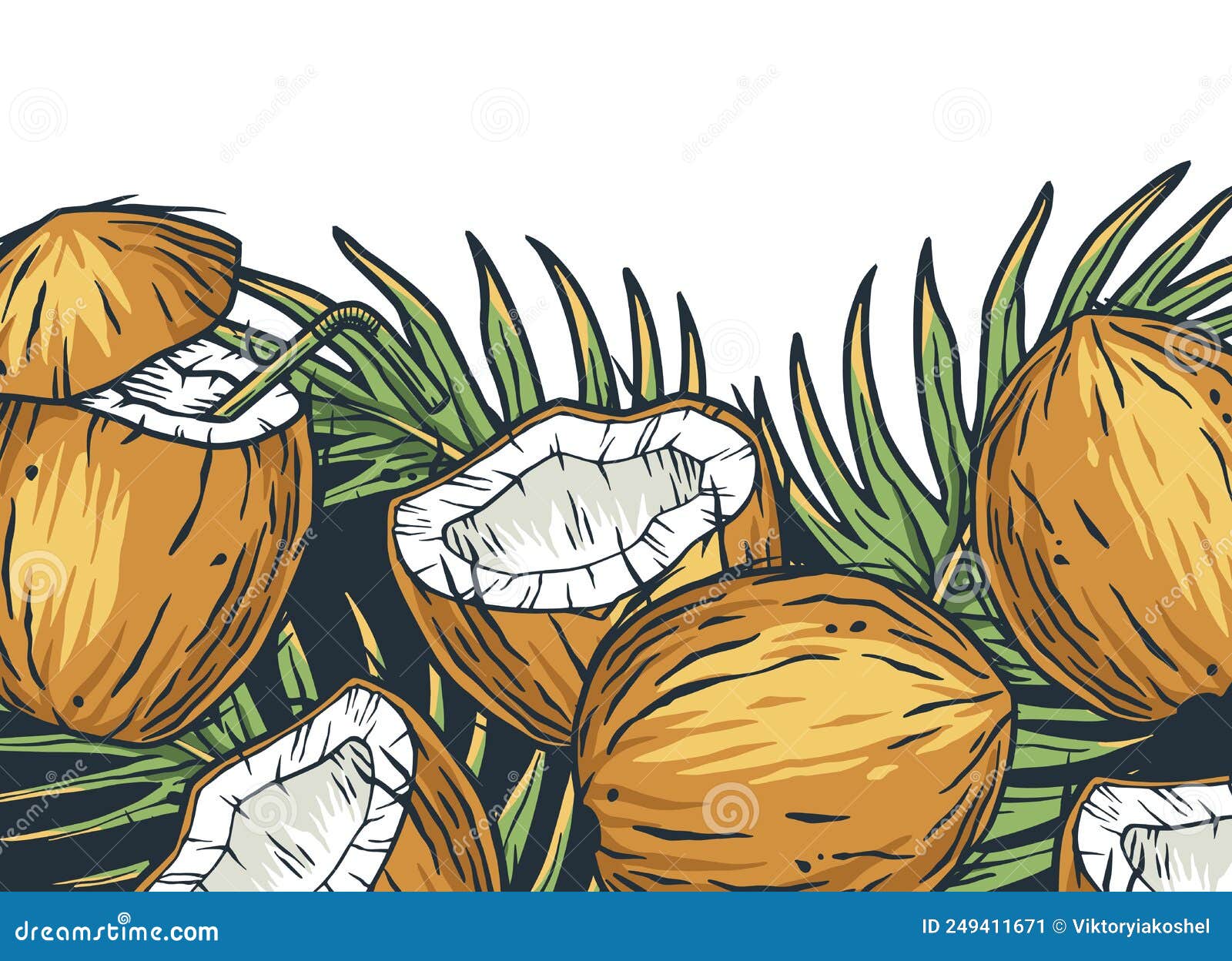 Coconuts Fruits Frame. Summer Fruit Design Element Stock Vector ...