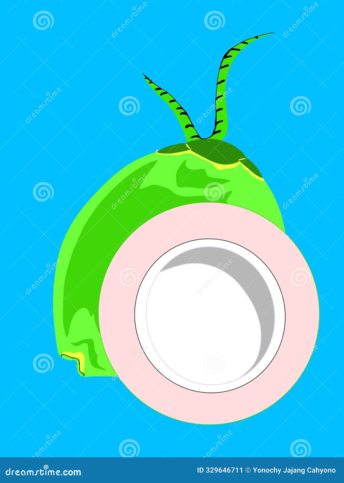 Coconuts Have Many Benefits for Humans Stock Illustration ...