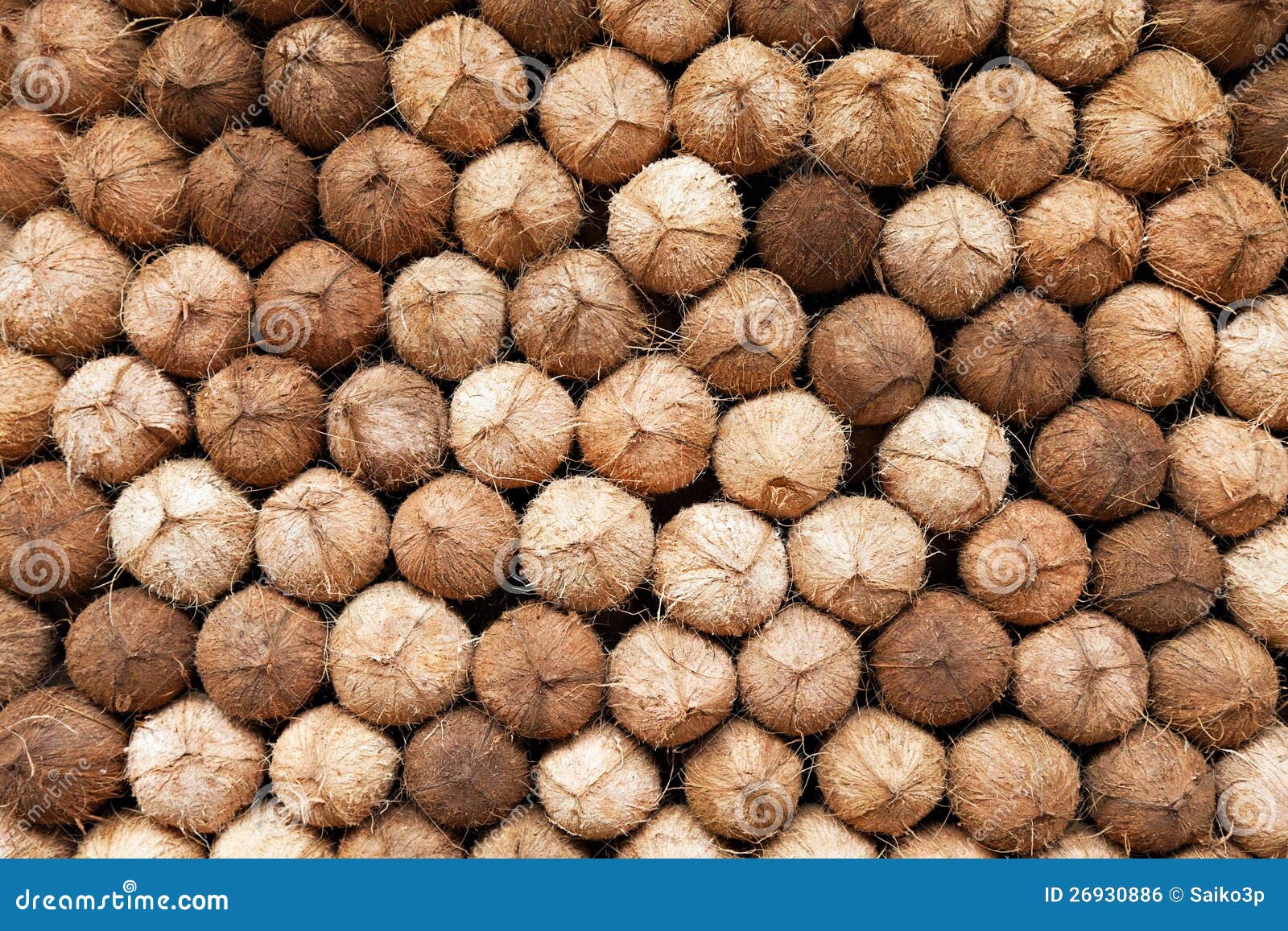 Coconuts heap stock photo. Image of natural, environment - 26930886