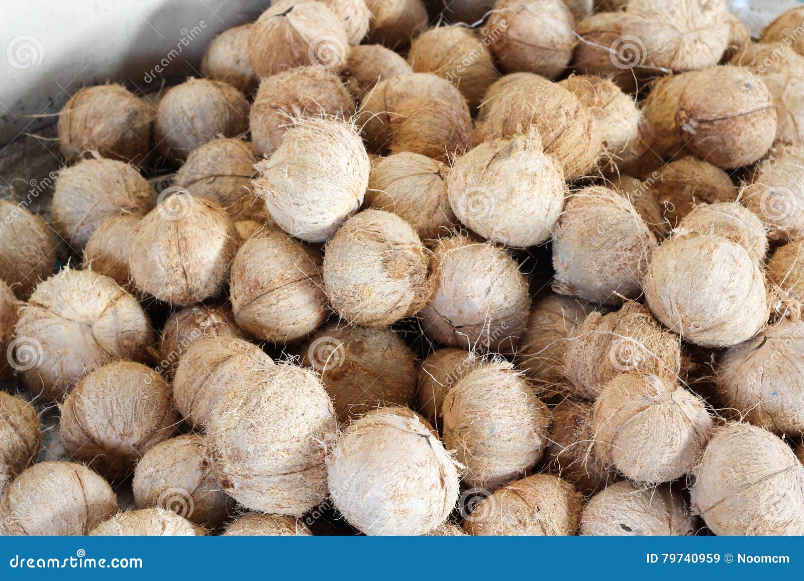 Coconuts peeled stock image. Image of nutrition, market - 79740959