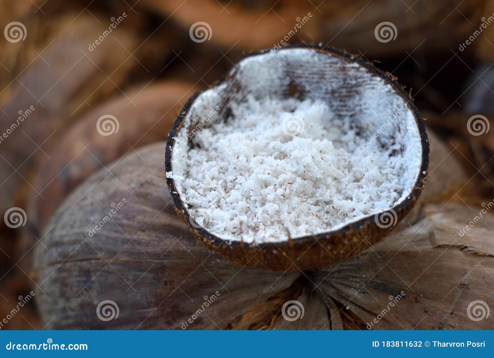 Coconuts Sale in Market Thailand Stock Photo - Image of natural ...