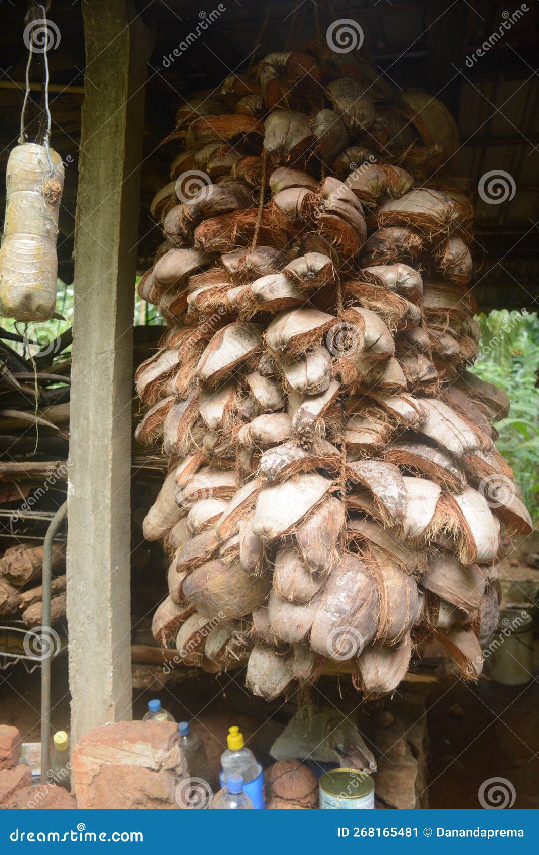 Coconuts Shelf Farming Concept Stock Image - Image of manufacturing ...