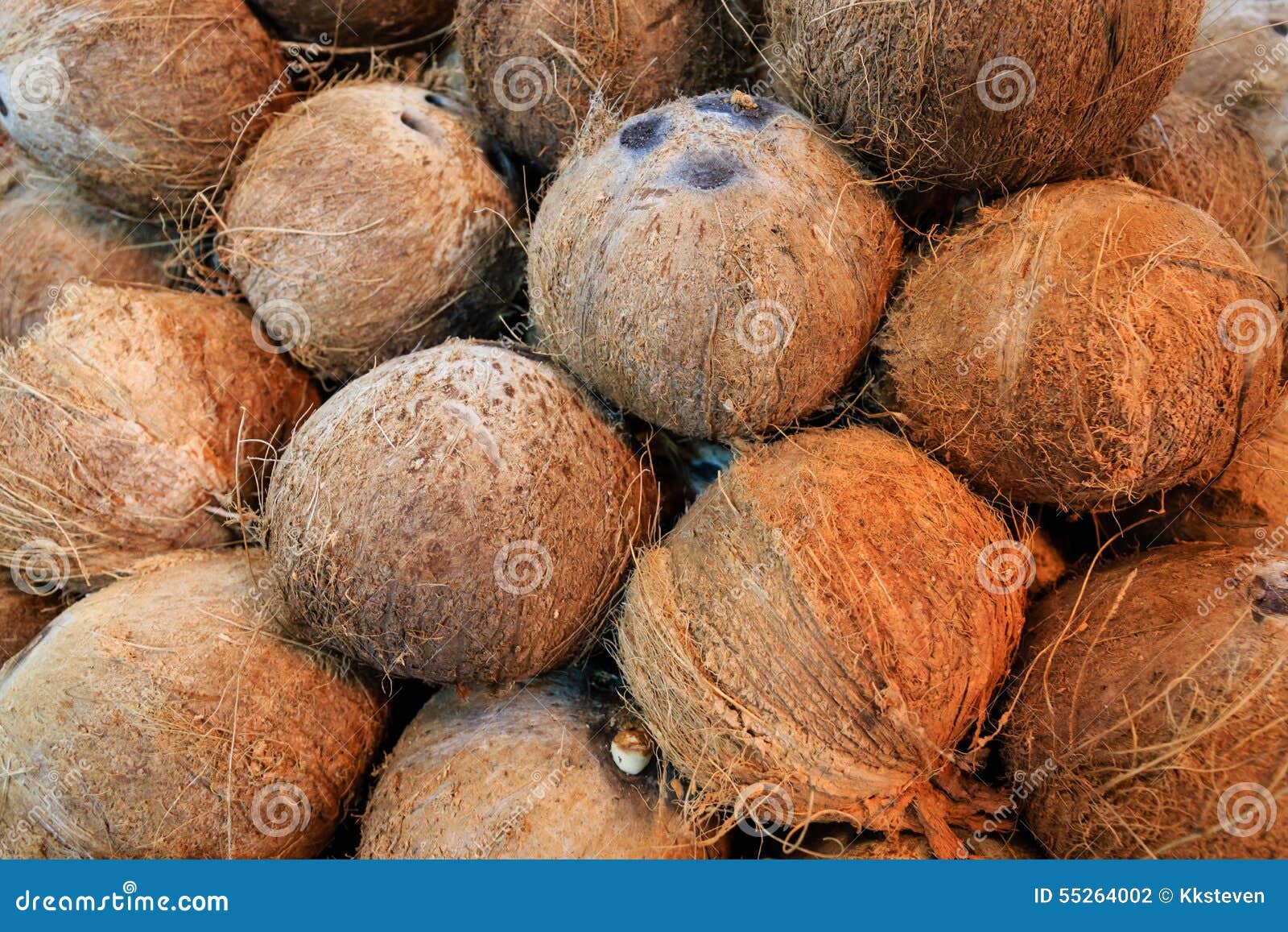 Coconuts with Shell stock photo. Image of mesocarp, exotic - 55264002