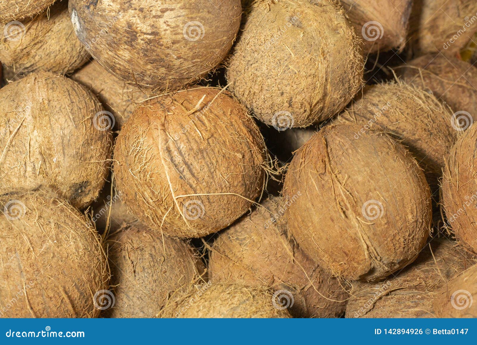 Coconuts Stack in the Market Stock Photo - Image of collection, fruit ...