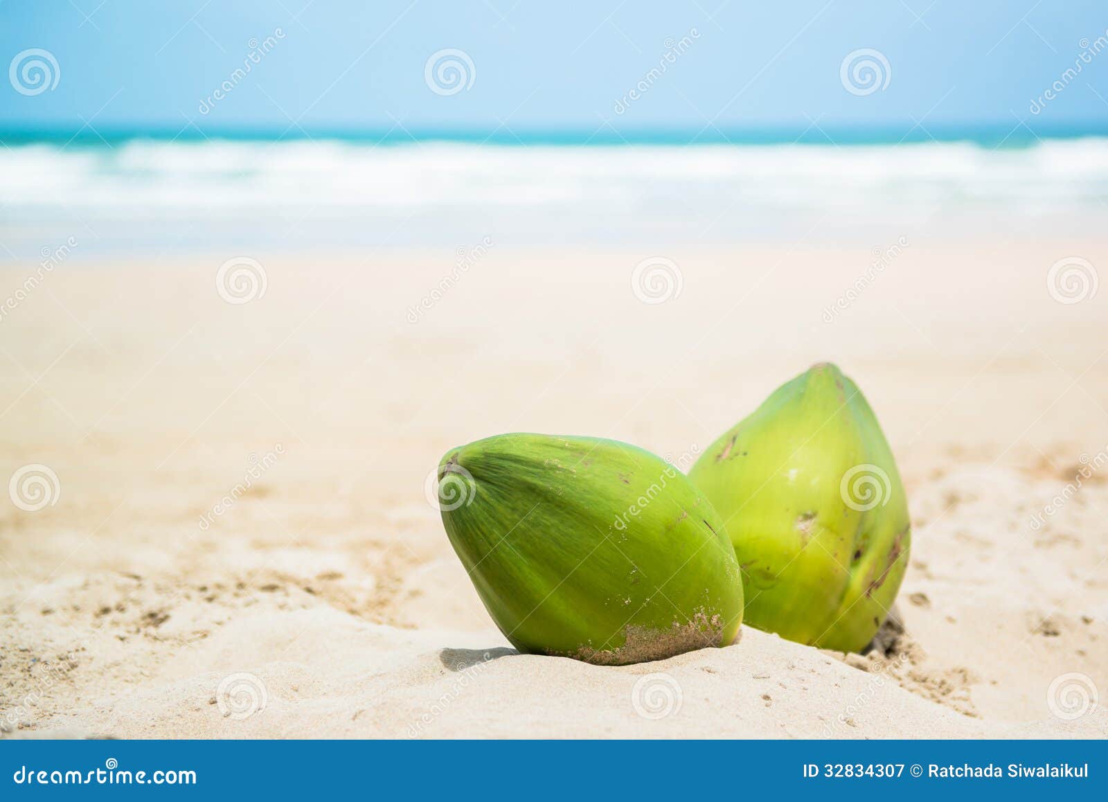 Coconuts on a Tropical Beach Stock Image - Image of aqua, shore: 32834307