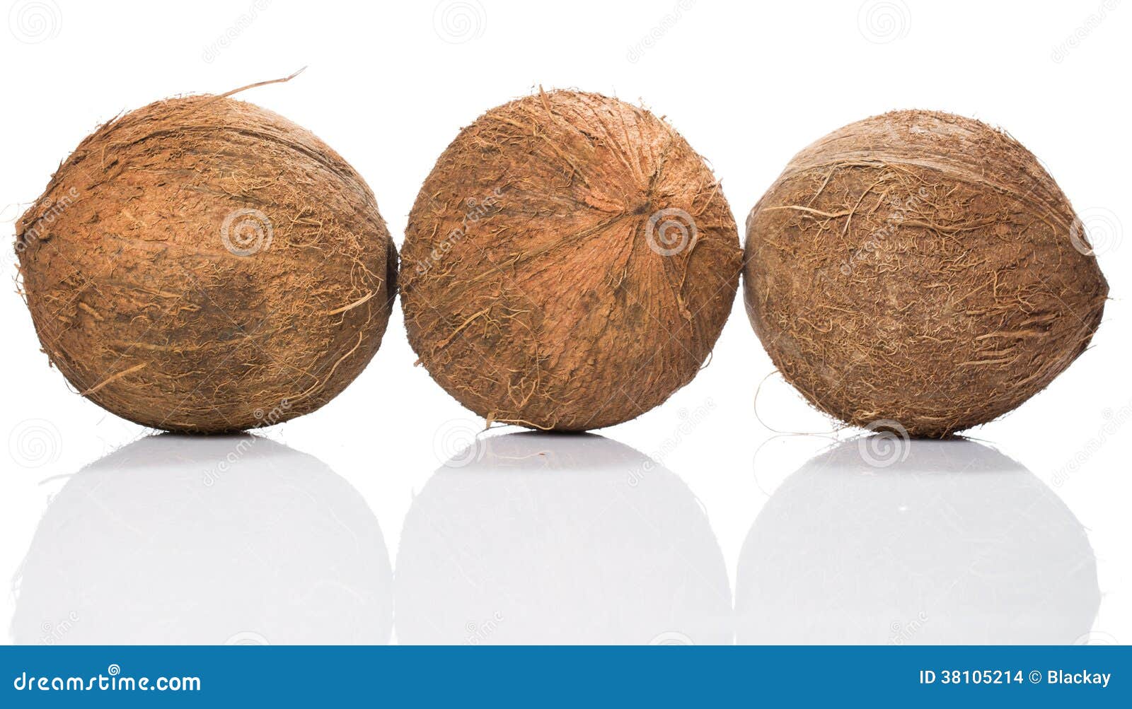 Coconuts on White Background Stock Photo - Image of coco, ingredient ...