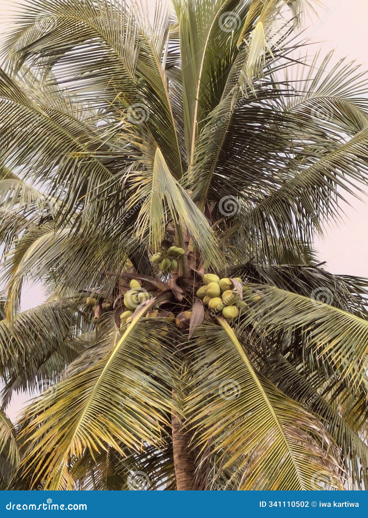 Waving Trees In Wind Cartoon Animation. Mountains, Clouds And Trees ...