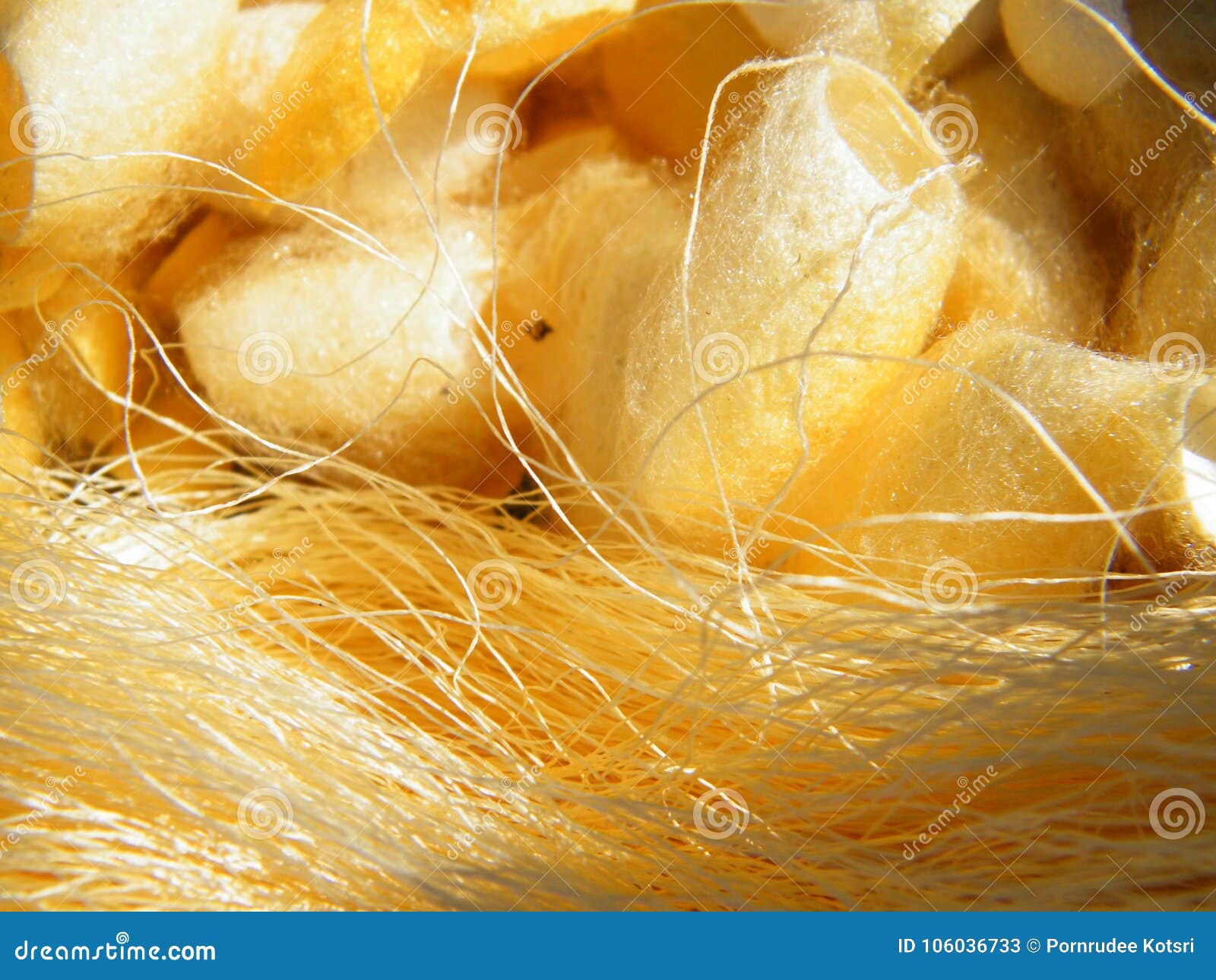 Cocoon production process stock image. Image of gold - 106036733