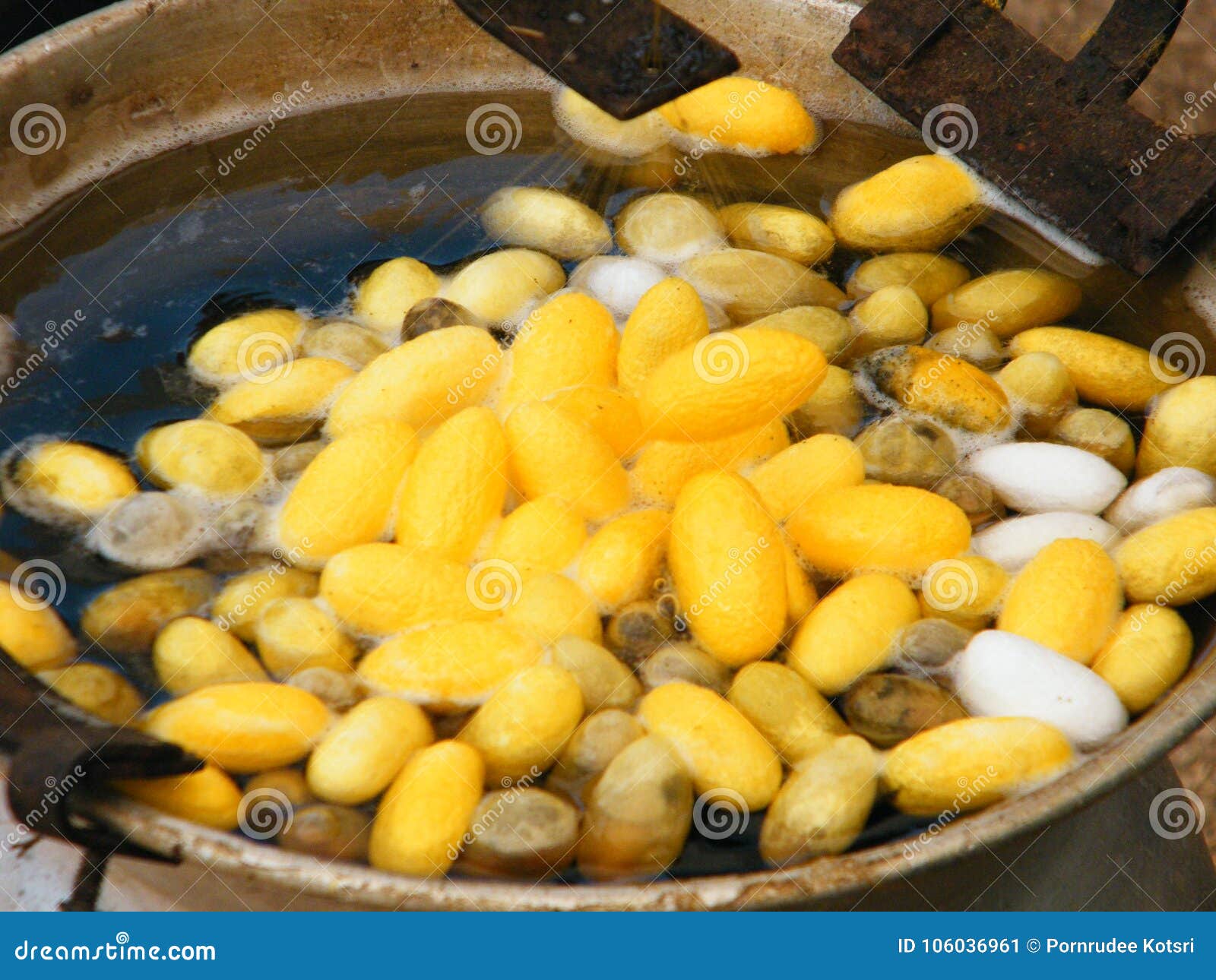 Cocoon production process stock image. Image of gold - 106036961