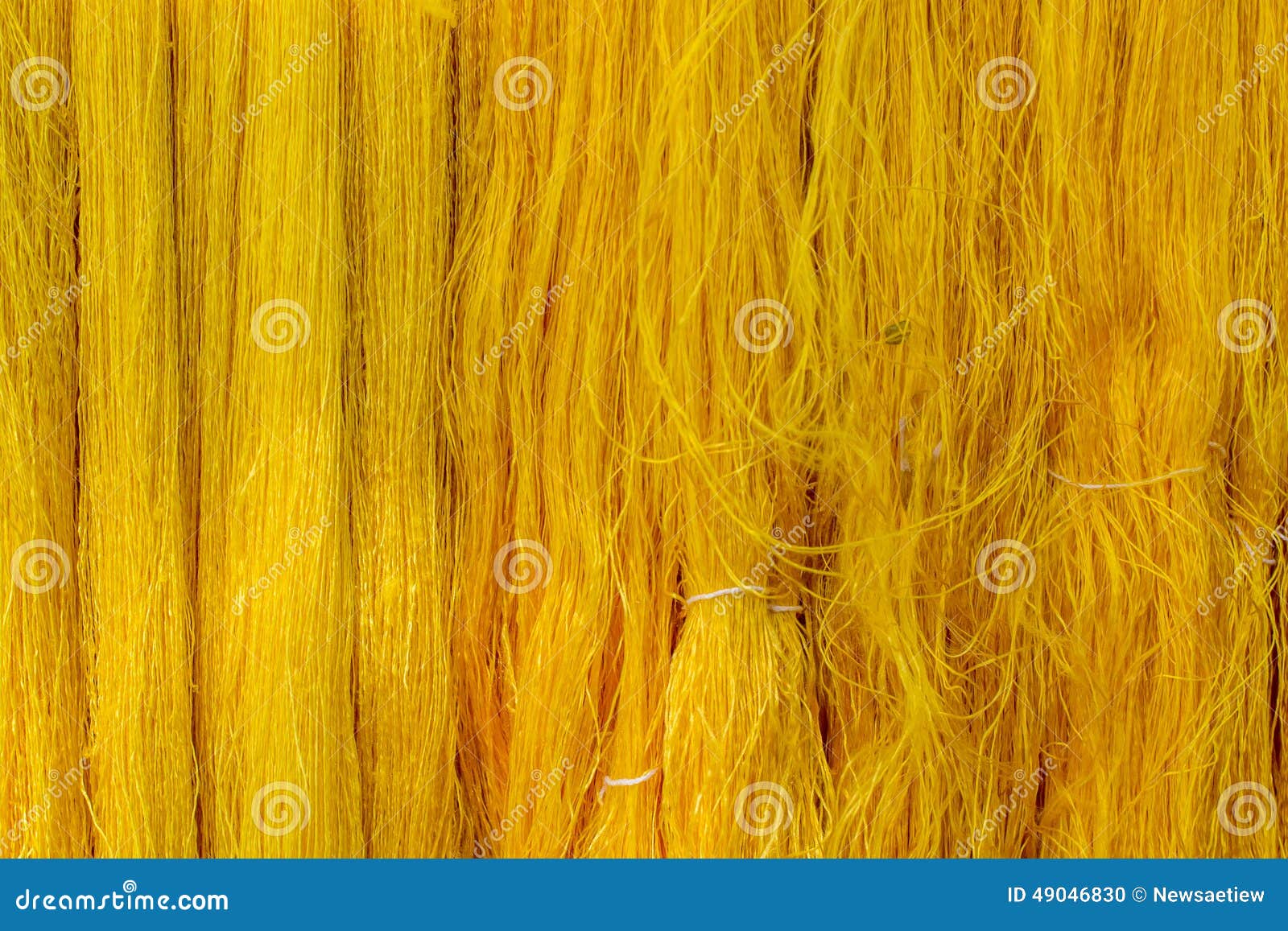 Cocoon Silkworm ,color Yellow and White Stock Photo - Image of nature ...