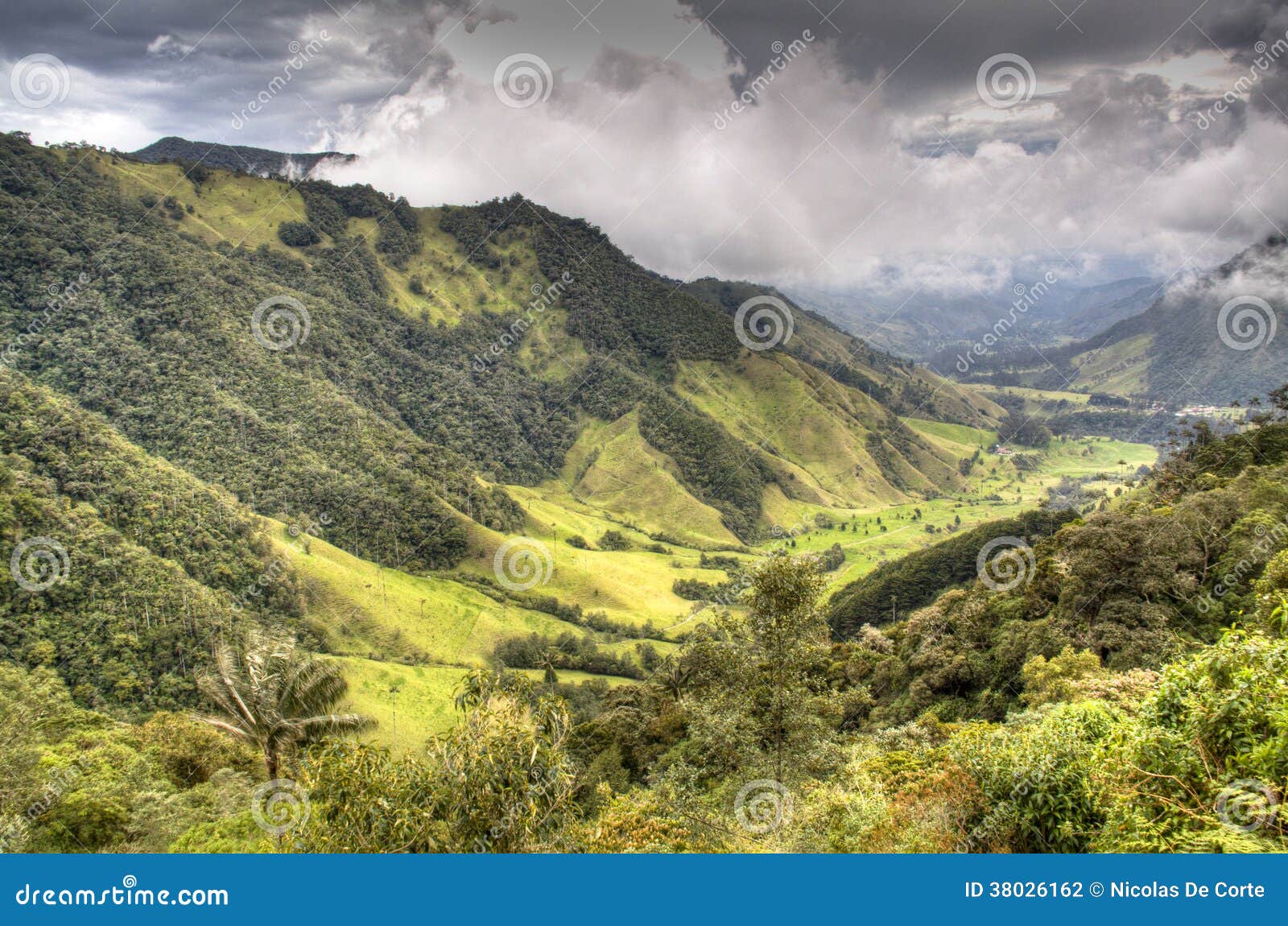 Cocora valley stock photo. Image of forest, cloud, colombia - 38026162