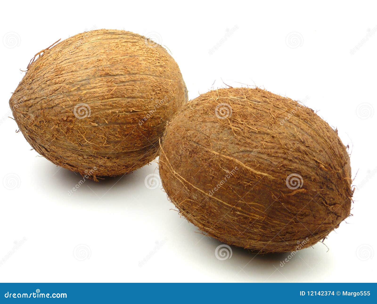 Cocos foto de stock. Imagem de isolado, leite, curva - 12142374