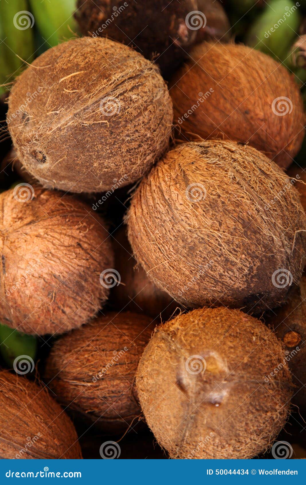 Cocos! foto de stock. Imagem de porca, coma, fresco, alimento - 50044434