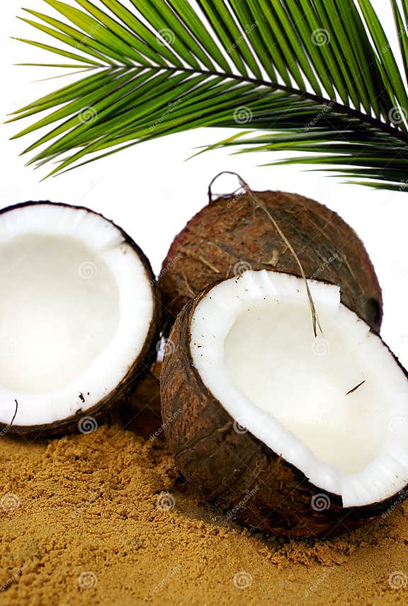 Cocos foto de archivo. Imagen de lifestyle, cocos, fresco - 5658658