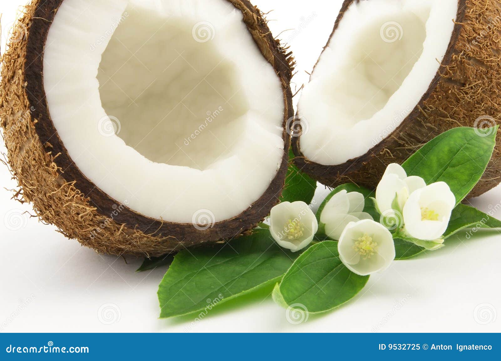 Cocos con las flores imagen de archivo. Imagen de coco - 9532725