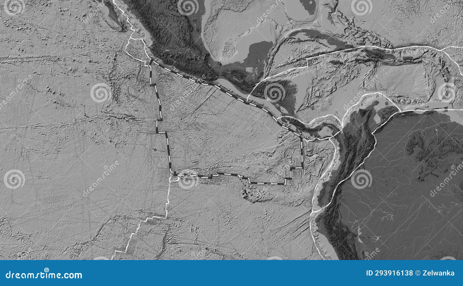 Cocos Plate Dashed. Patterson Cylindrical. Bilevel Stock Photo ...