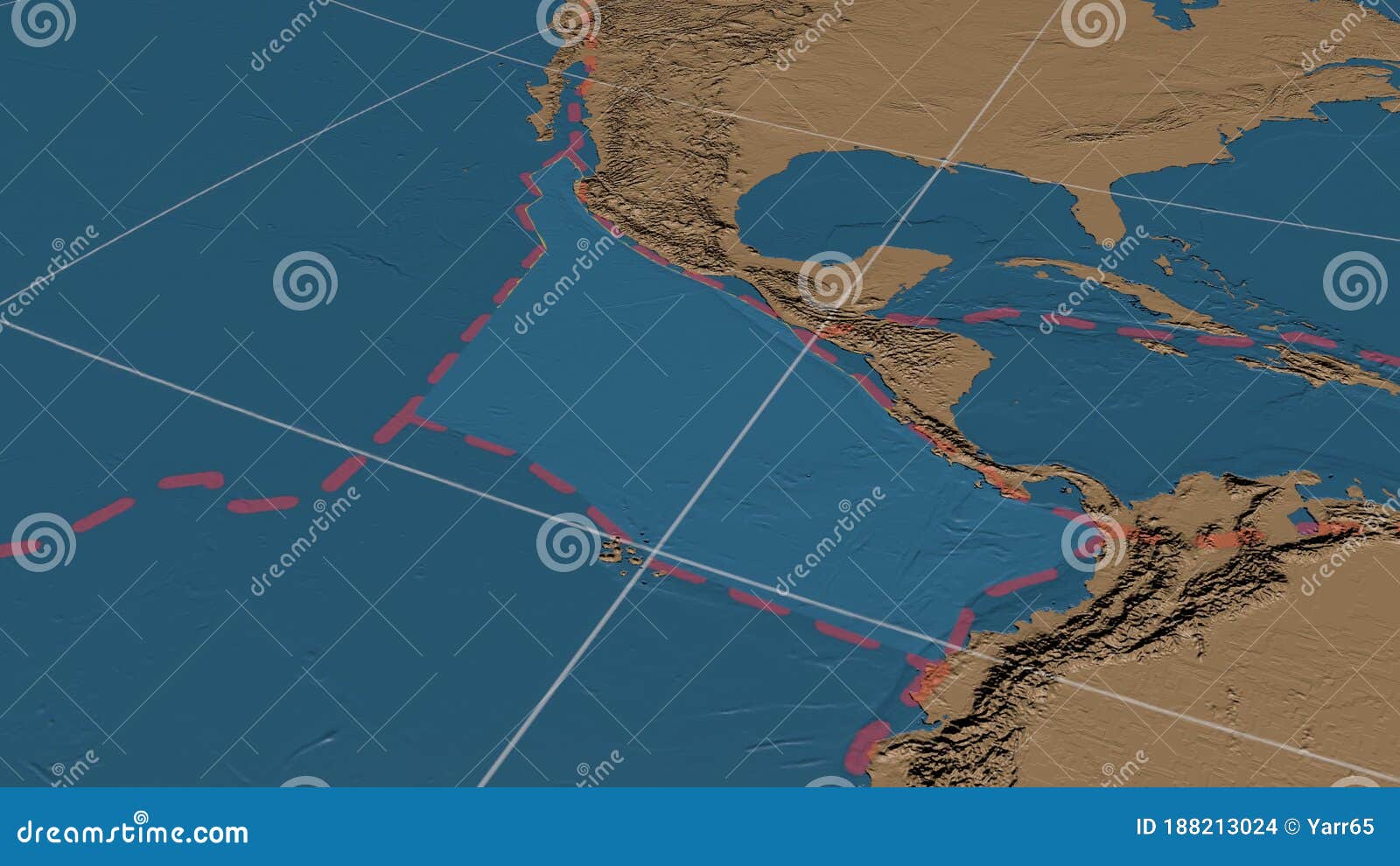 Cocos Plate Enlarged and Outlined - Grayscale Stock Illustration ...