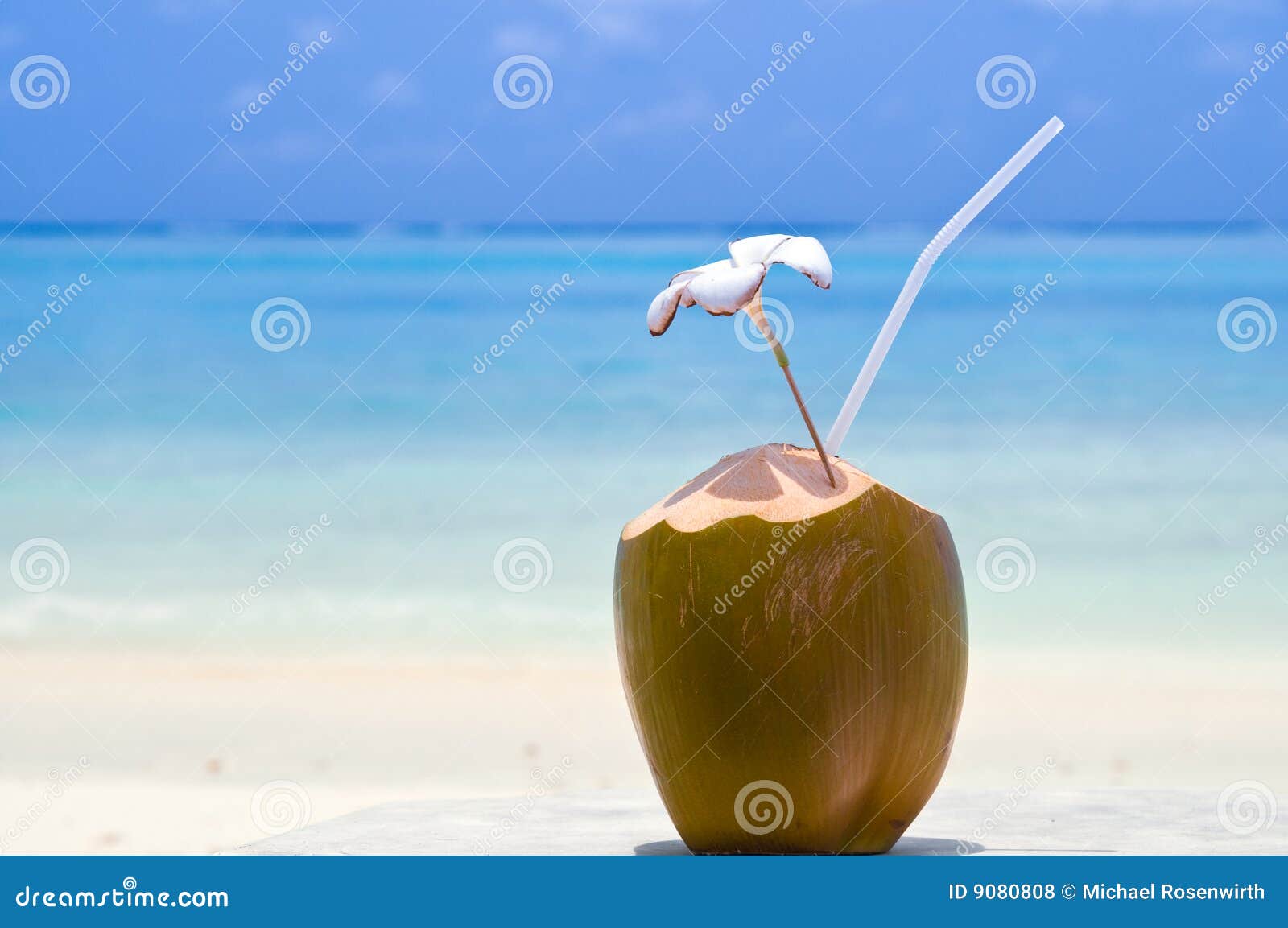 Coctel tropical del coco foto de archivo. Imagen de sano - 9080808