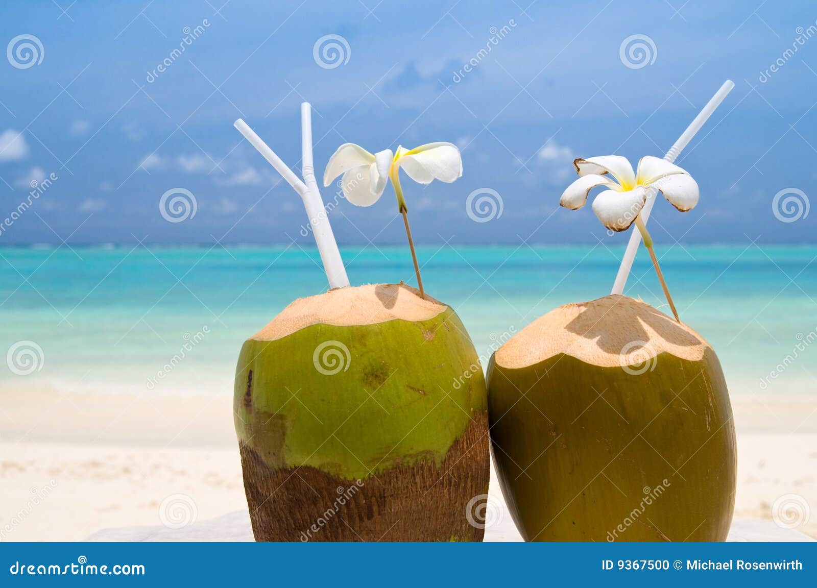 Coctel tropical del coco foto de archivo. Imagen de recurso - 9367500