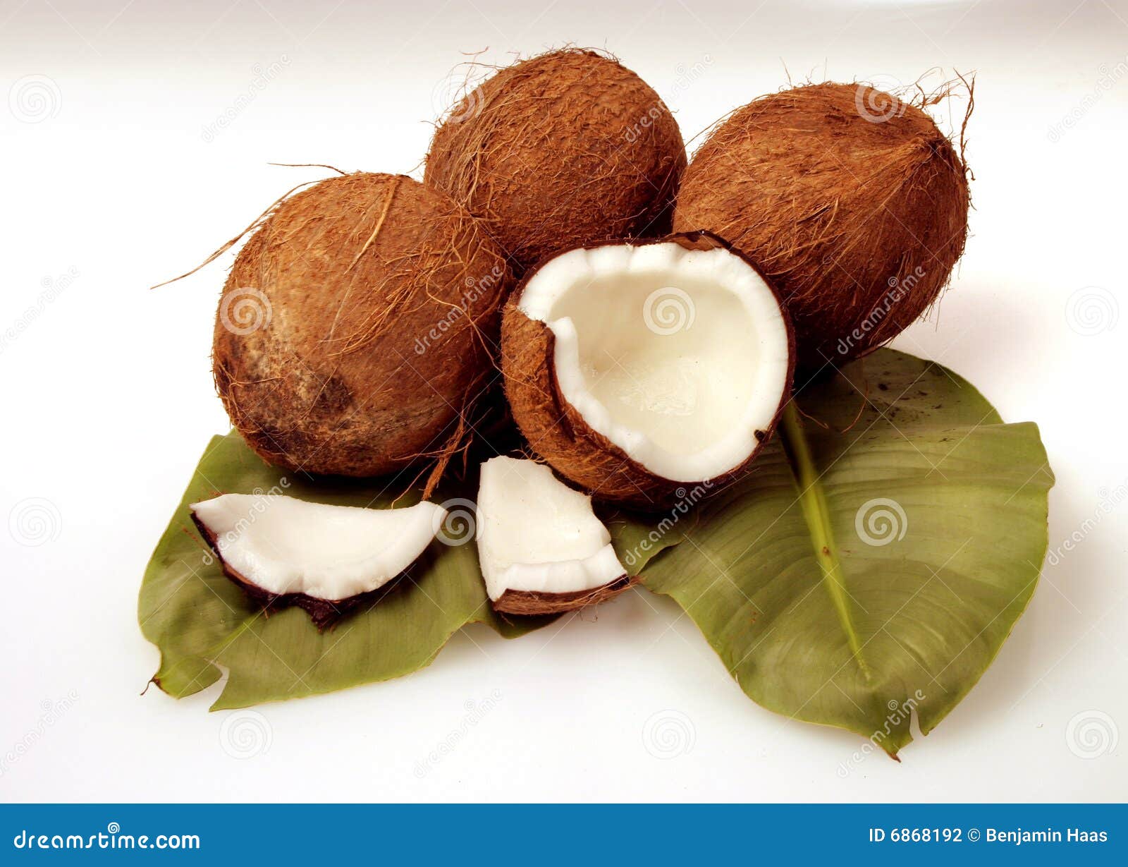 Cocunut stock photo. Image of bark, diet, coconut, parts - 6868192