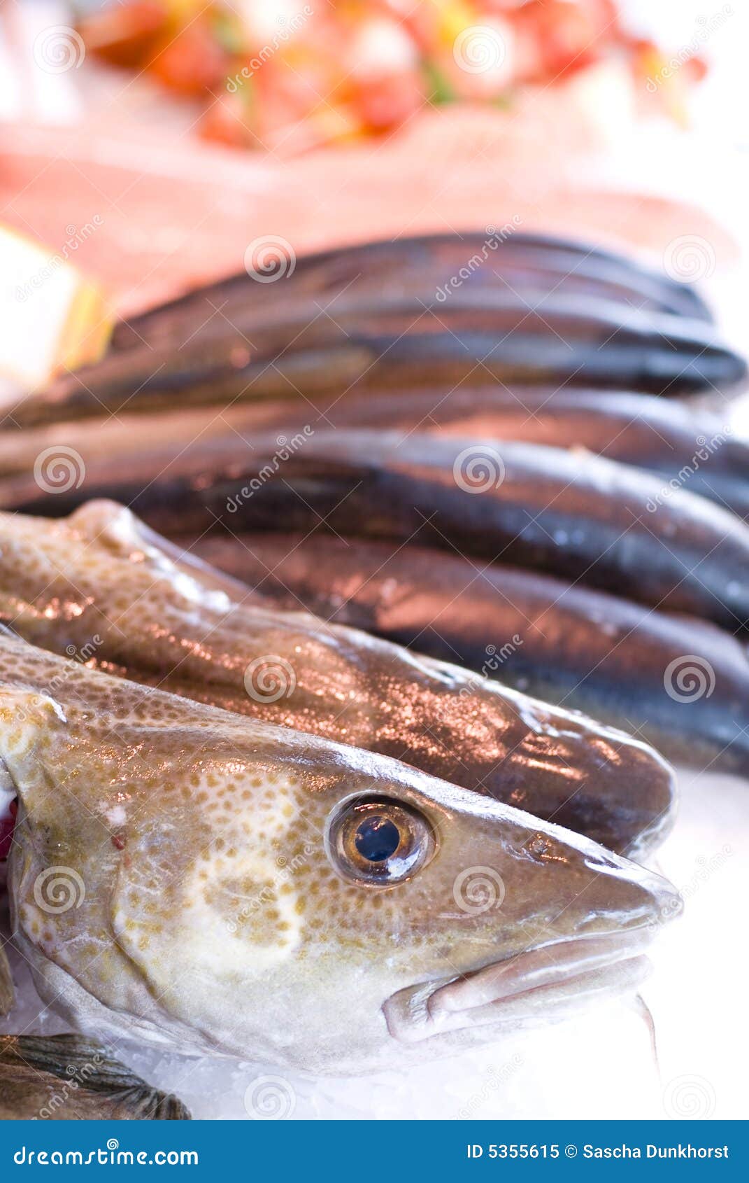 Cod stock image. Image of cold, recipe, sushi, cooking - 5355615