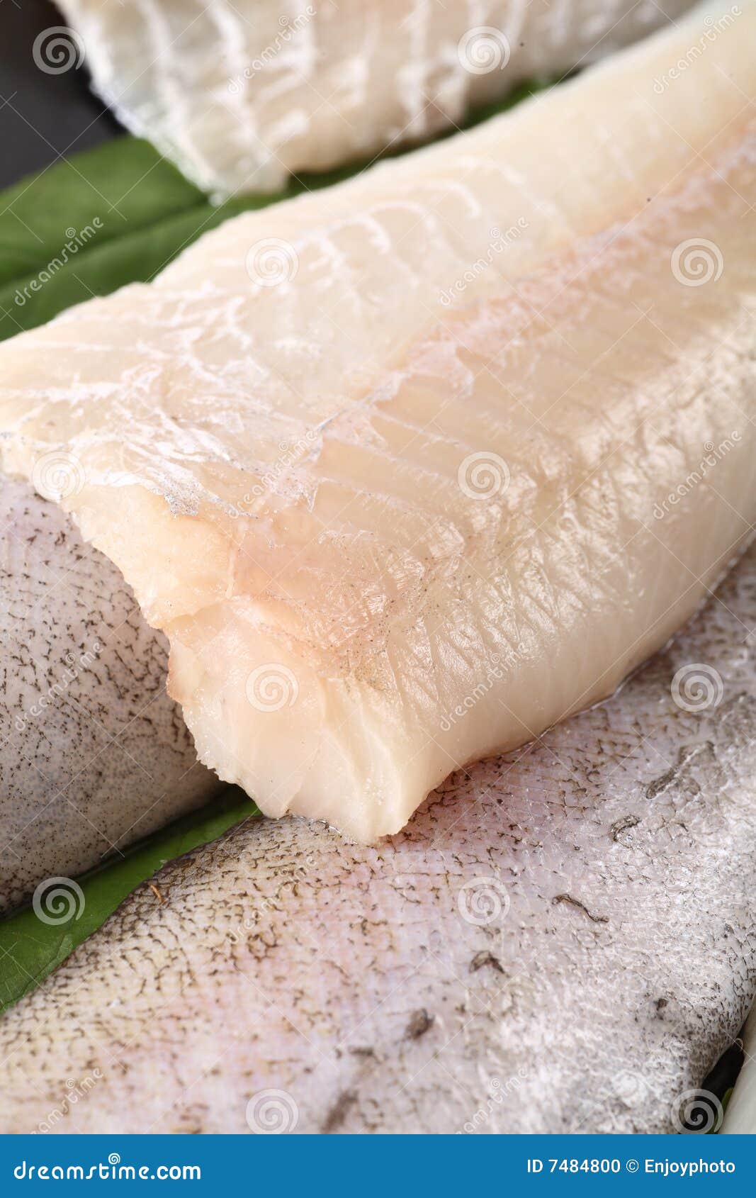 Cod stock photo. Image of mushroom, garnish, fried, green - 7484800