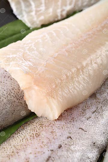 Cod stock photo. Image of mushroom, garnish, fried, green - 7484800