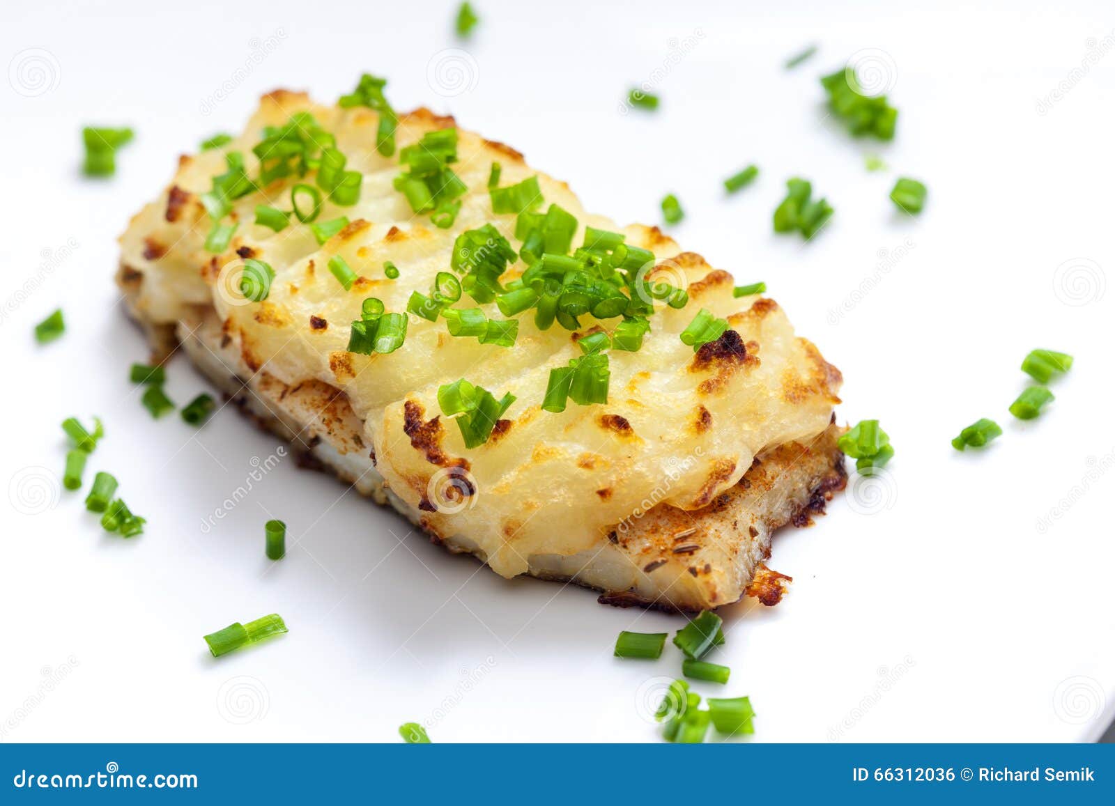 Cod stock photo. Image of mash, potatoes, nourishment - 66312036